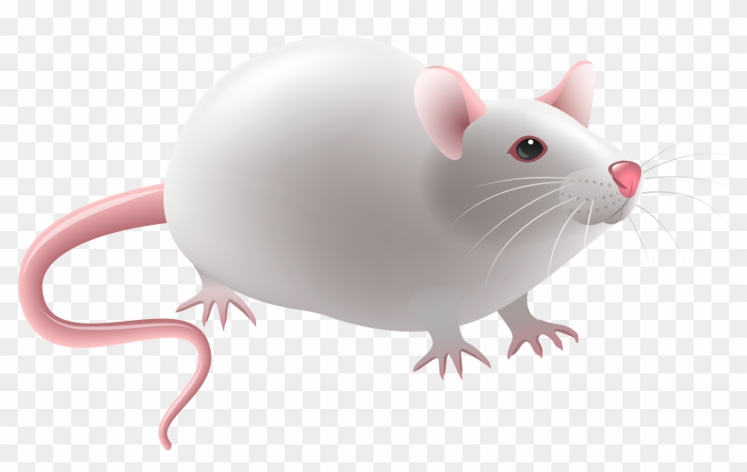 Mouse Png Clip Art - Clip Art Mouse Png Transparent Png (#518515) - PikPng