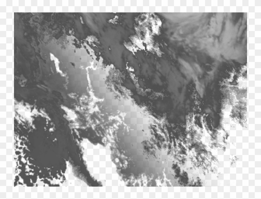 Plane-tree Family Clipart (#5125154) - PikPng