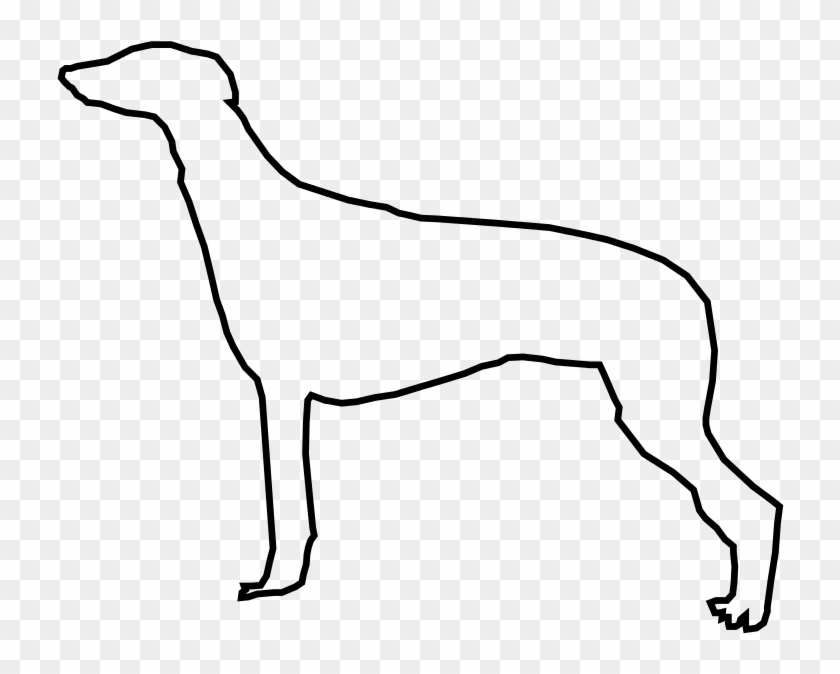 File - Greyhound Profile - Svg - Rampur Greyhound Clipart (#5163011 ...