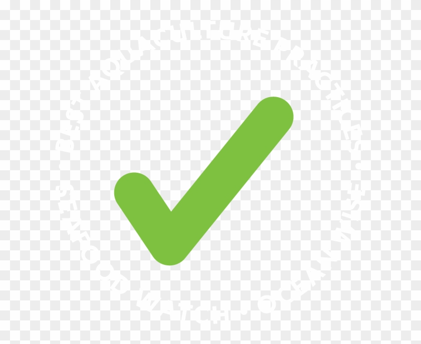 Download White Png Image Transparent Background - Icone Certo Sem Fundo ...