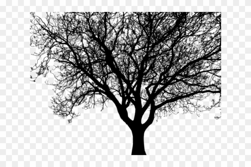 Drawn Branch Dogwood Tree - Tree Silhouette Clipart (#5238937) - PikPng