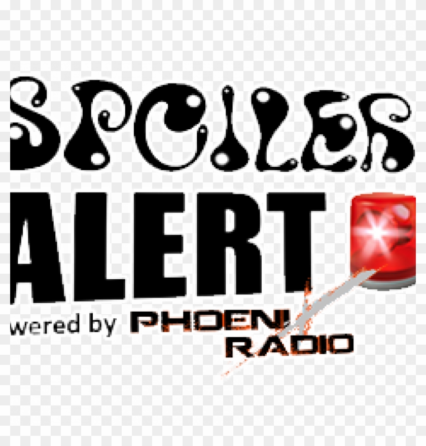 Spoiler Alert Episode 12 Best And Worst Of Denzel - Holy Water Font ...