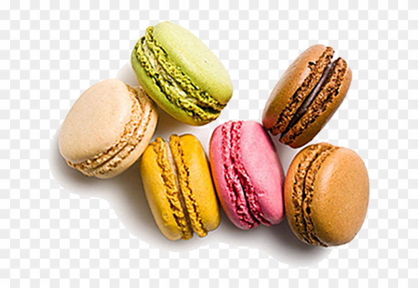 Macaron Png Image Background - Transparent Background Macarons Png ...