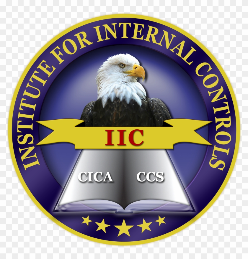 Certified Internal Controls Auditor Clipart (#5289512) - PikPng