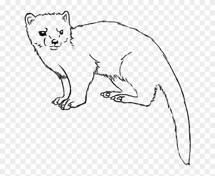 Collection Of Free Weasel Drawing Download On Ui Ex - Line Art Clipart ...