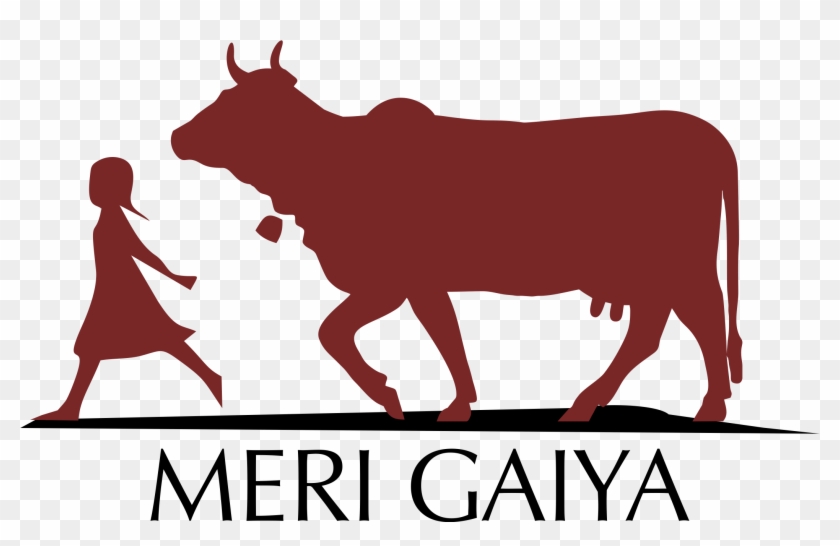 2092 X 1261 2 - Desi Cow Clip Art - Png Download (#576017) - PikPng