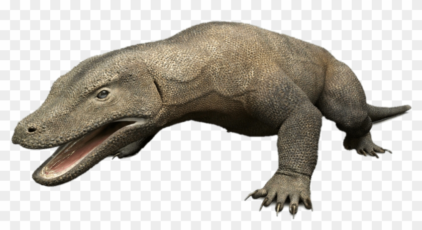 Animals - Komodo Dragon Lizard Png Clipart (#5742504) - PikPng