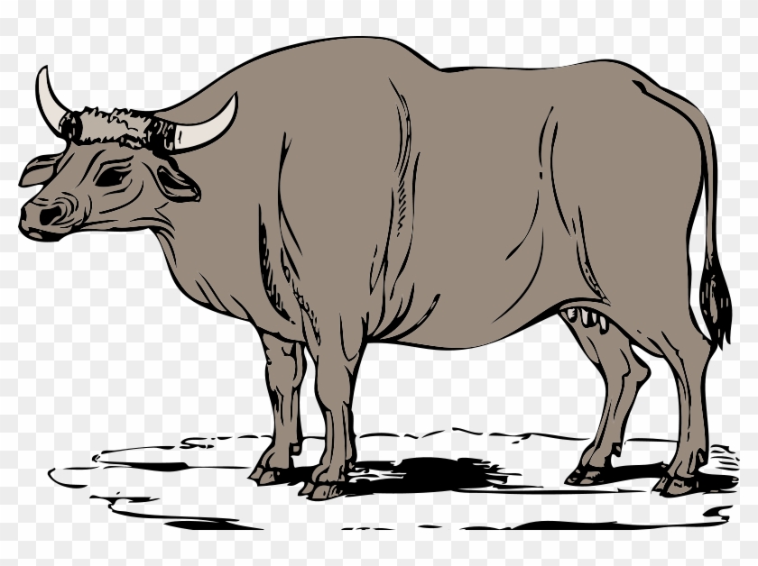 Thumb Image - Ox Clipart - Png Download (#5798611) - PikPng