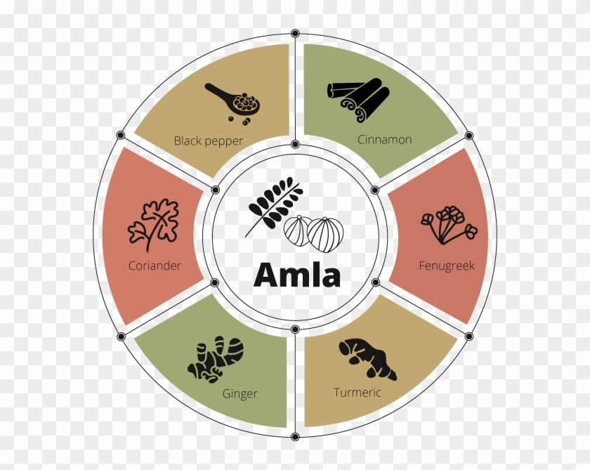 Indian Gooseberry Pairs With - Sustainable Development Goals Gif ...