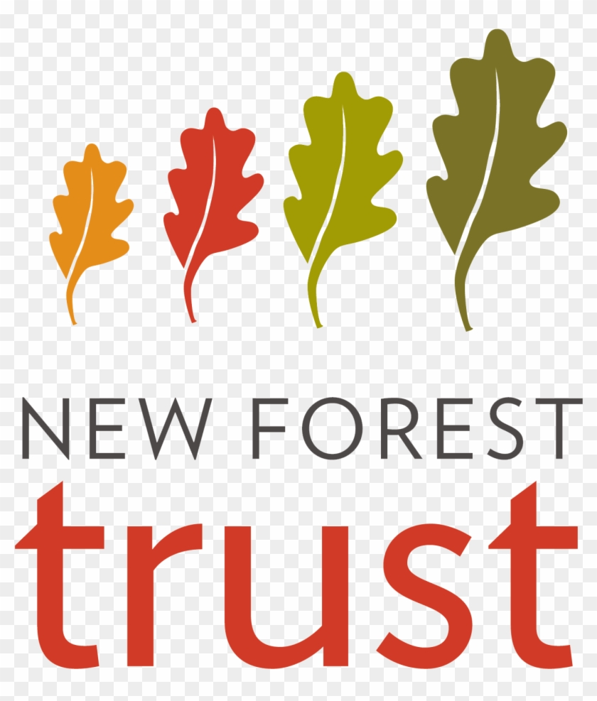 Forest Trust Clipart (#5877498) - PikPng