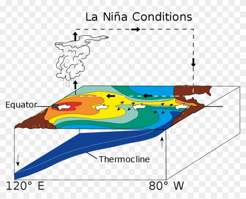 File - Enso - La Niña - Svg - El Nino Southern Oscillation Normal Clipart (#5950977) - PikPng