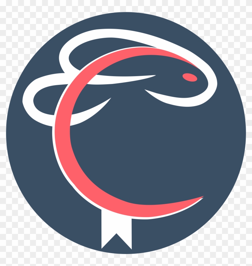 Download Logo-discord - Circle Clipart Png Download - PikPng