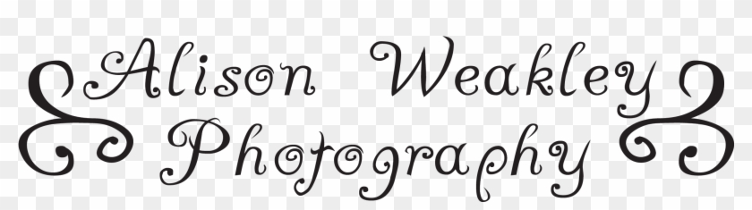 Alison Weakley Photography - Calligraphy Clipart (#615337) - PikPng