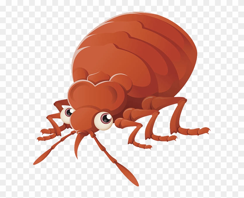 Bed Bug Png - Bed Bug Transparent Background Clipart (#667337) - PikPng