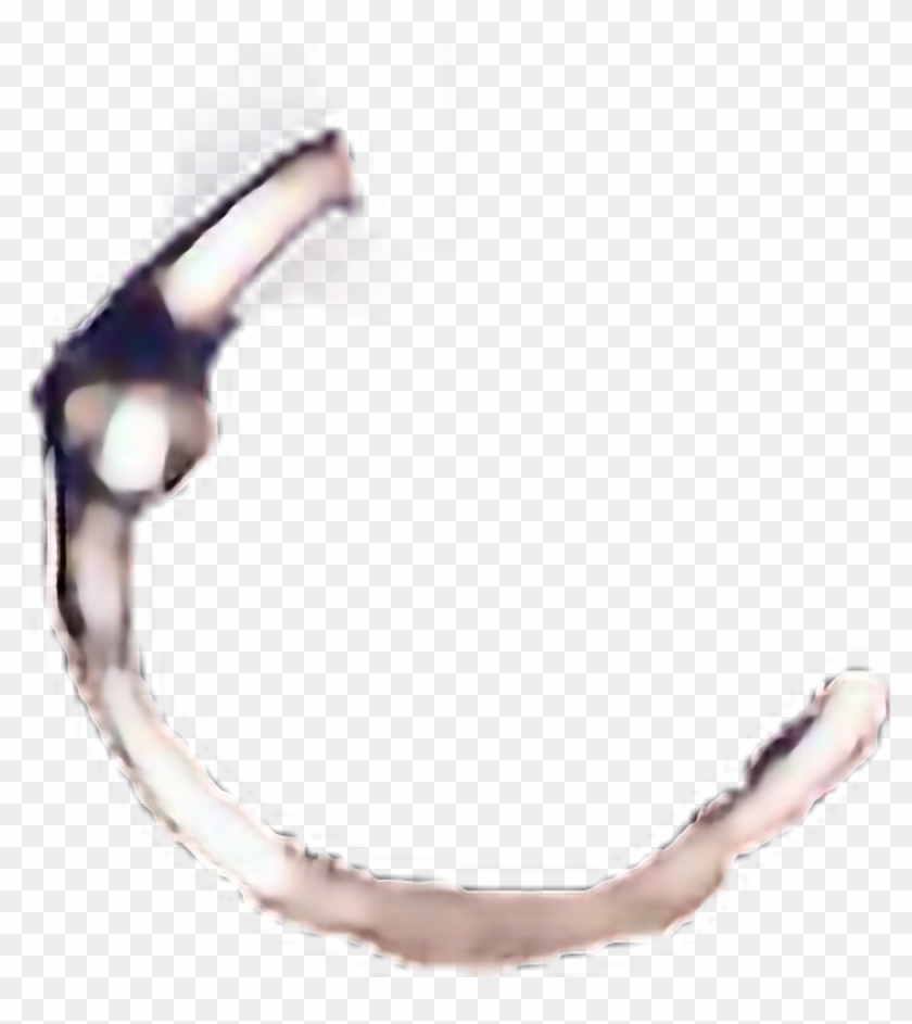 Flaless Sticker - Nose Ring Transparent Clipart (#682022) - PikPng