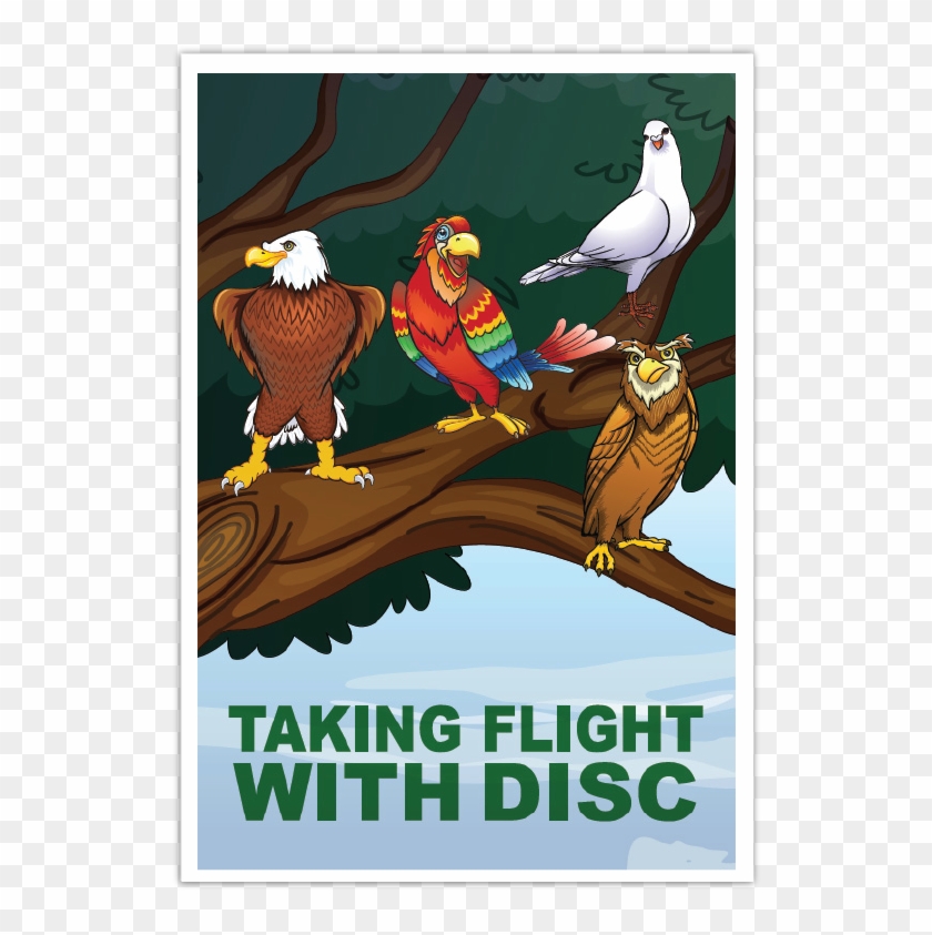 Take Flight Learning Offers A Variety Of Disc-based - Illustration ...