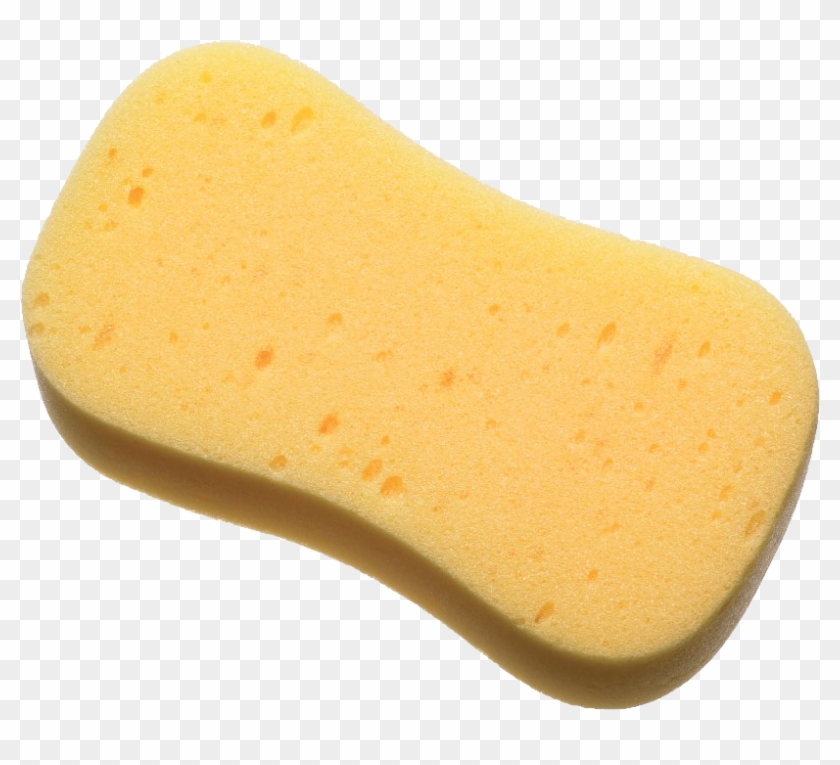 Sponge Png Clipart (#748237) - PikPng