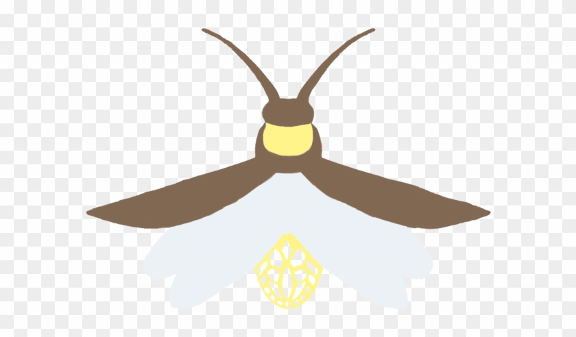 Firefly Transparent Background - Illustration Clipart (#796626) - PikPng