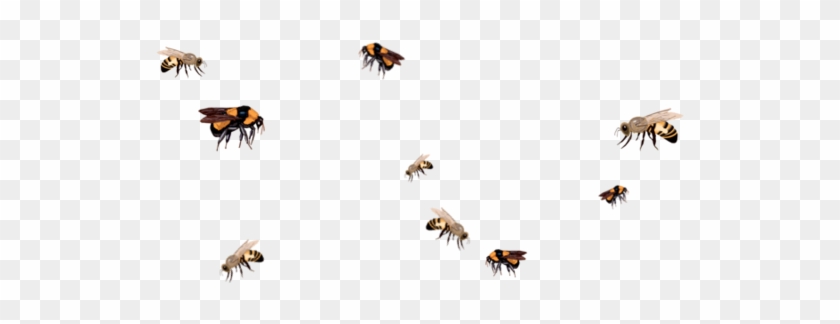 Bees Flying Clipart