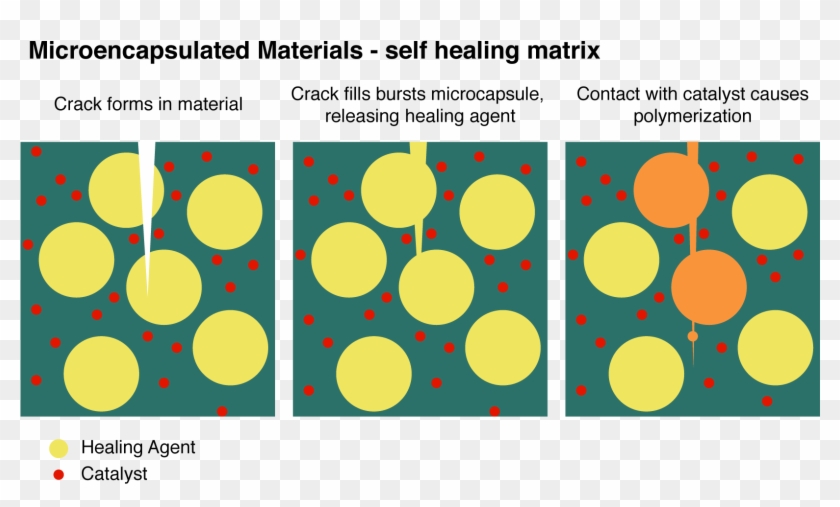 When The Agent Comes Into Contact With A Catalyst Inside - Self Healing ...