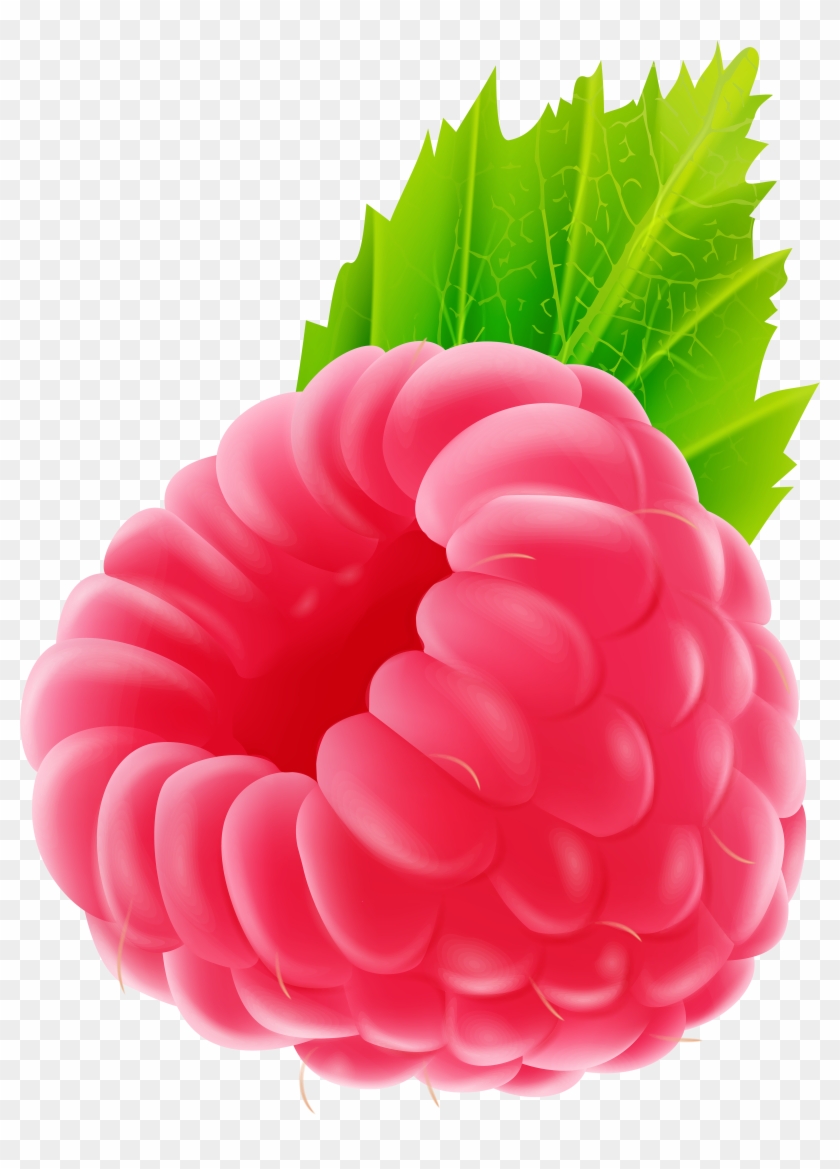 Raspberry Png Clip Art Image - Clip Art Transparent Png (#853009) - PikPng