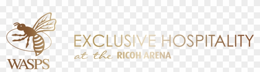 Download Gilbert Wasps Supporter Rugby Ball , Png Download - Parallel ...