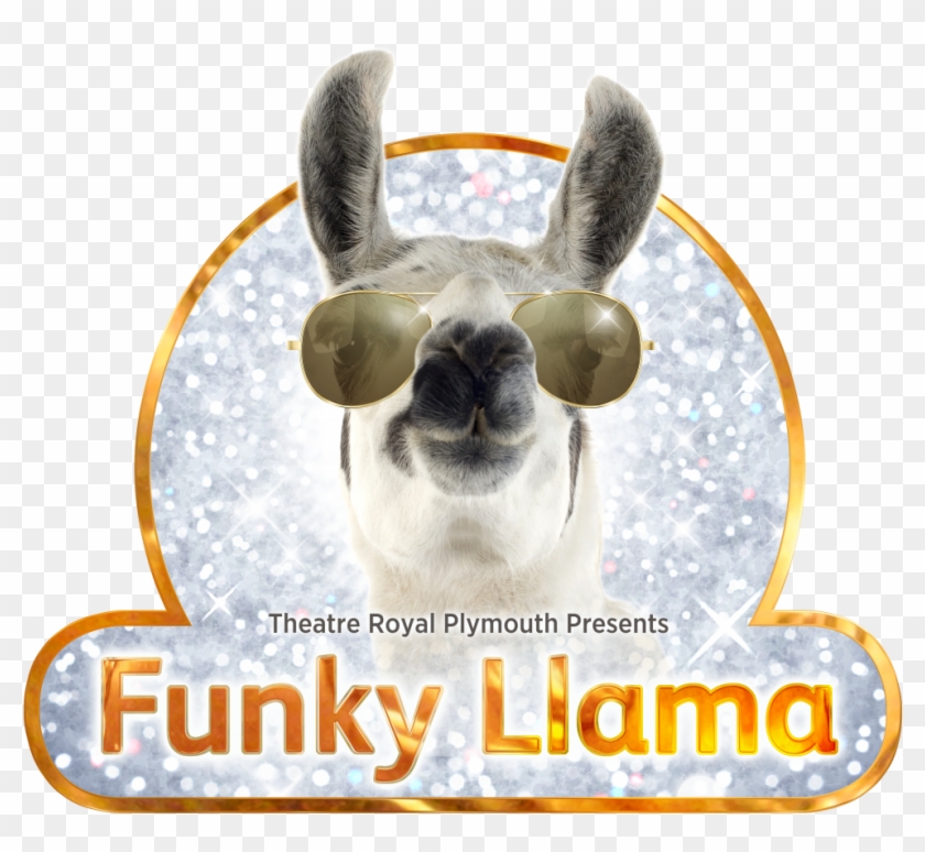 Funky Llama Generic Aviators Standalone - Rabbit Clipart (#966118) - PikPng