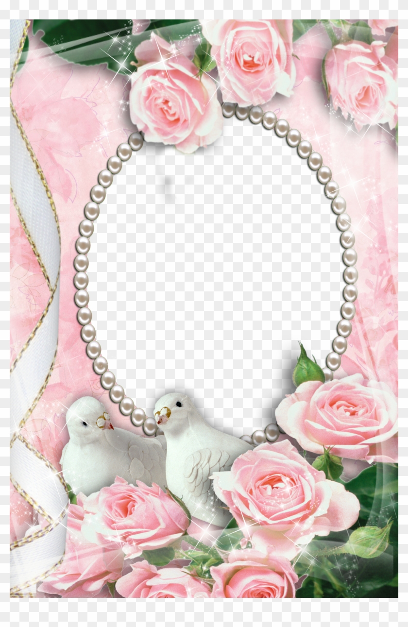 Pink Transparent Rose Photo Frame Clipart (#982689) - PikPng